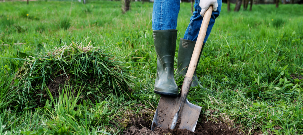 Homeowners: Public Utility Locates - Ontario One Call